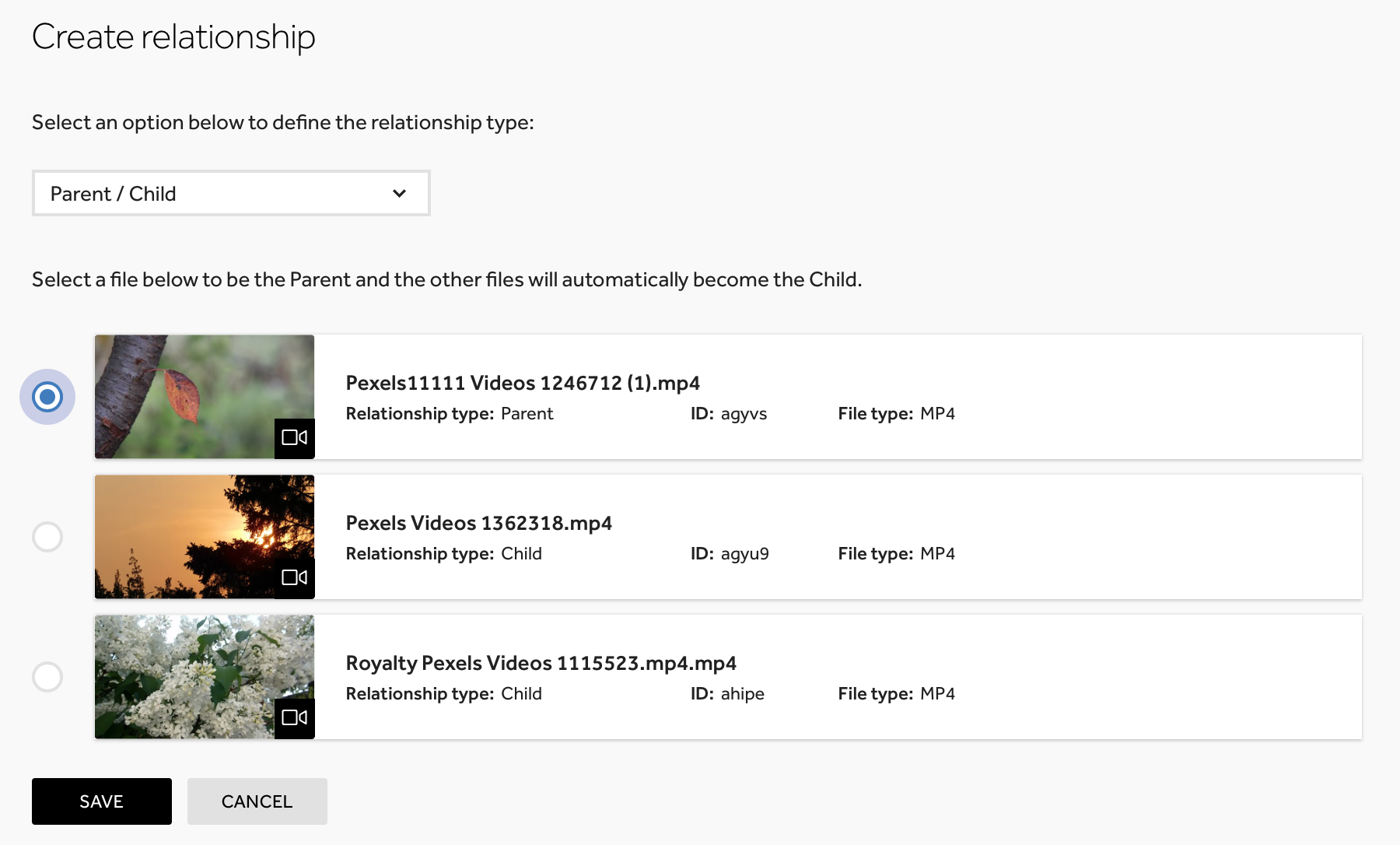 Working With Assets – Adstream Help Centre